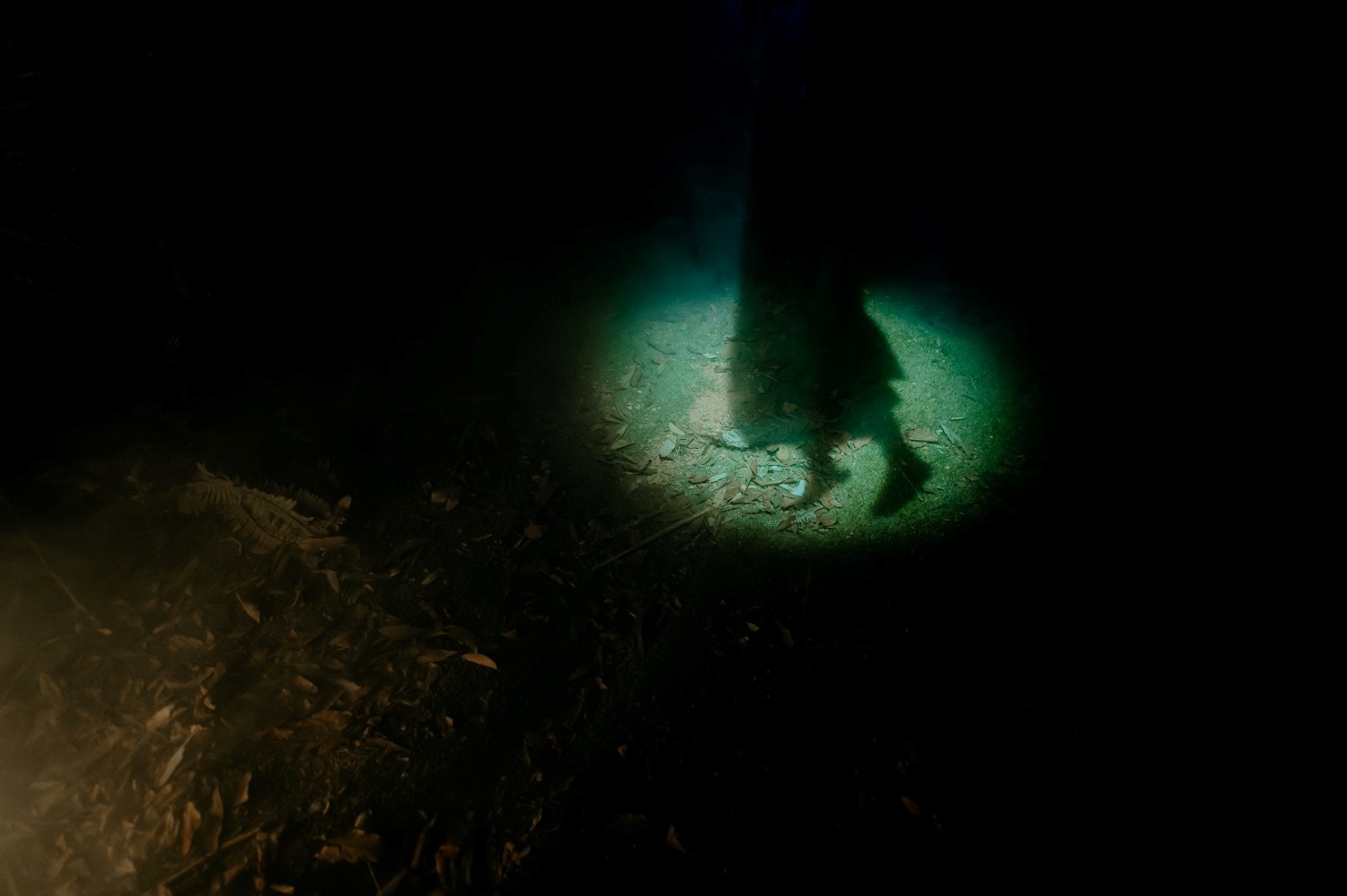 The Conjuring Universe Tour kini menghantui anda di The Curve | MissMynah